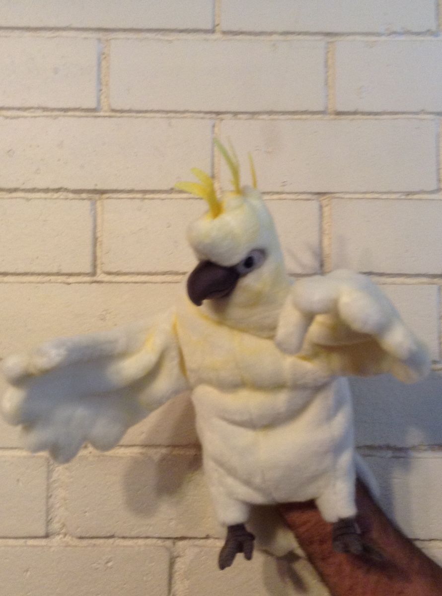 Hansa Hand Puppet - Cockatoo – Hanzon Puppets