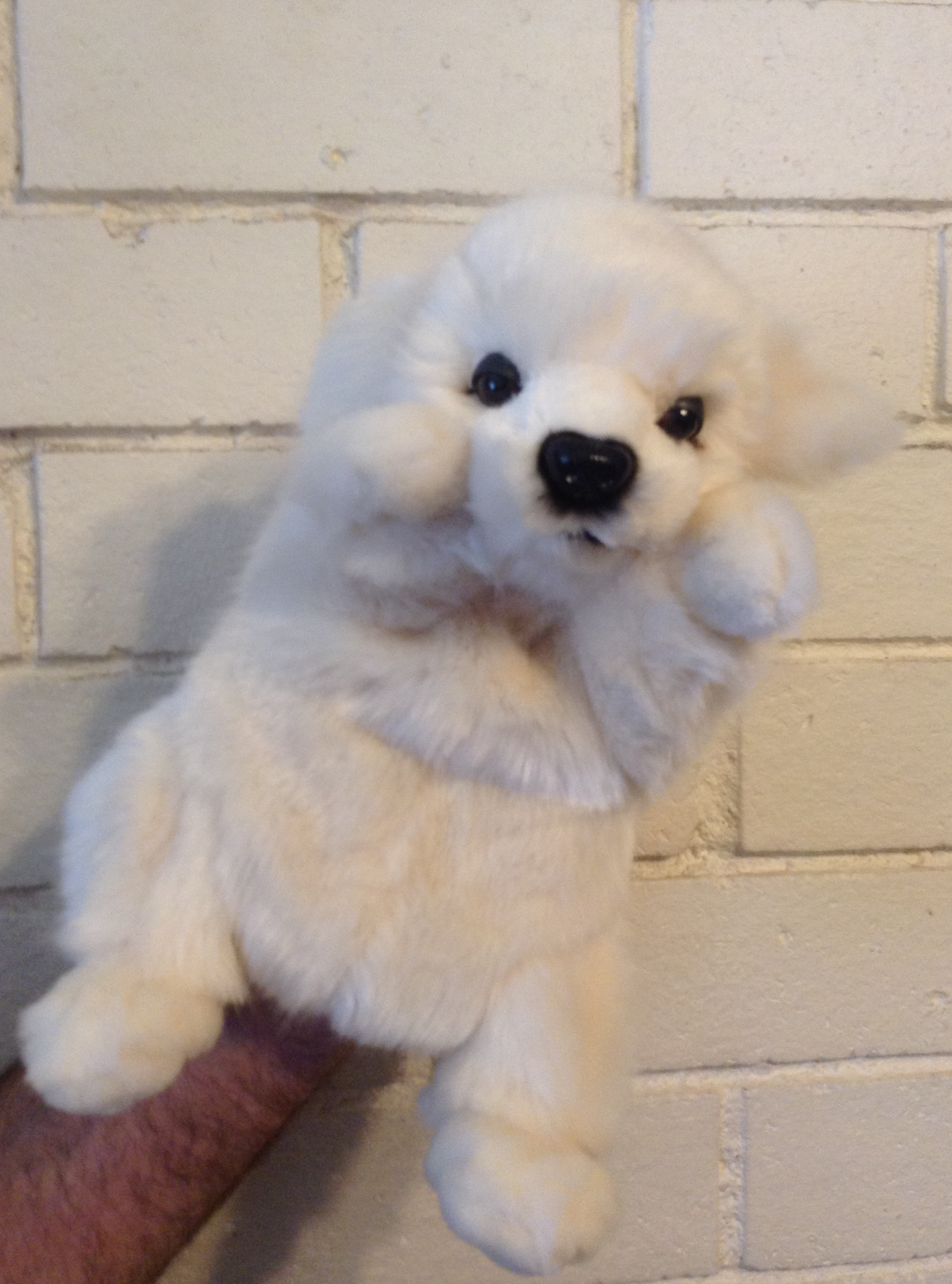 Hansa Hand Puppet - Maremma Puppy – Hanzon Puppets