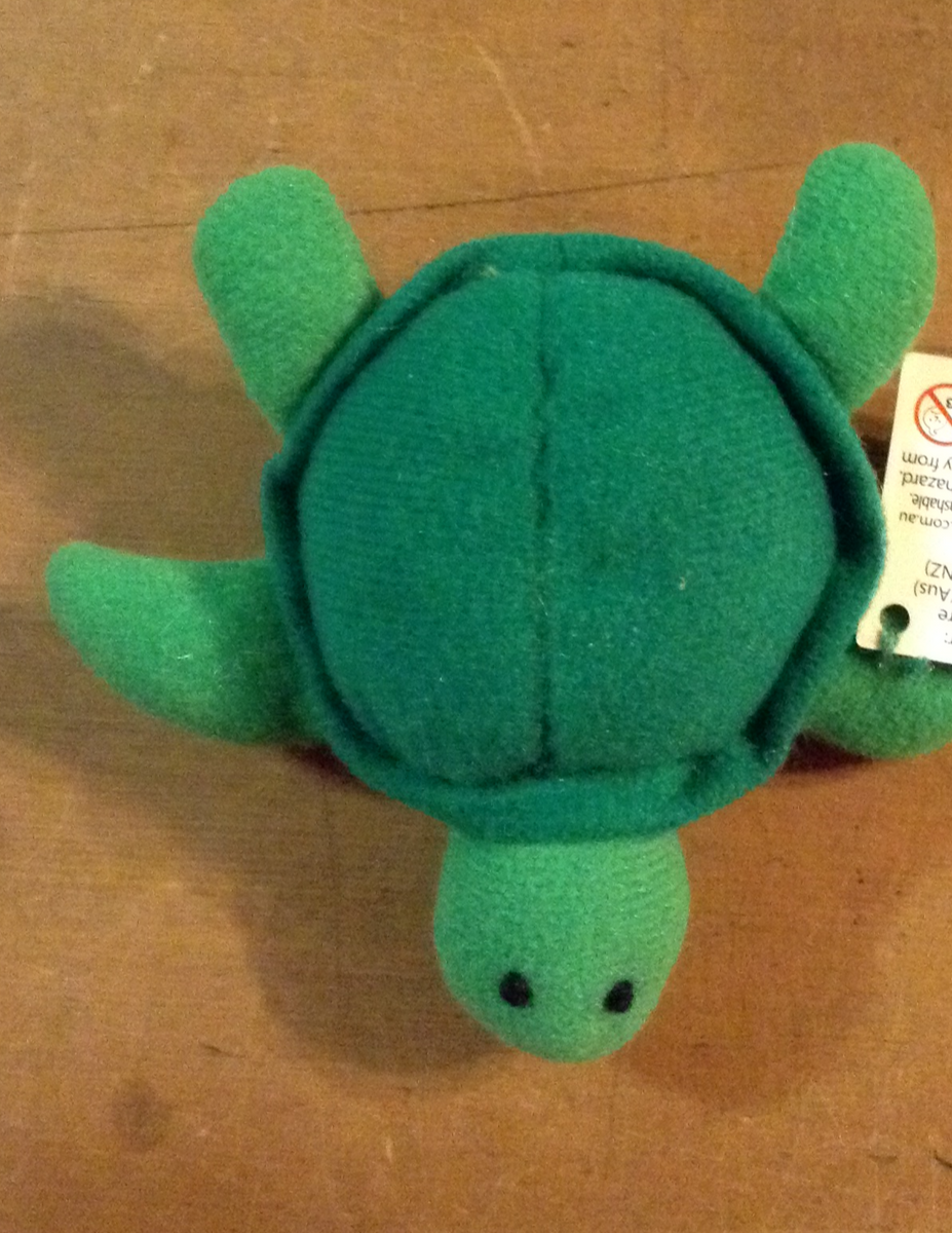 Finger Puppet - Turtle – Hanzon Puppets