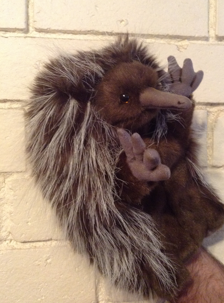 Hansa Hand Puppet - Echidna – Hanzon Puppets
